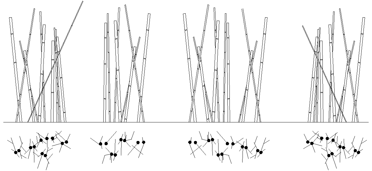 Autocad bamboo çizimleri - bamboo dwg çizimleri - bamboo ağacı çizimi