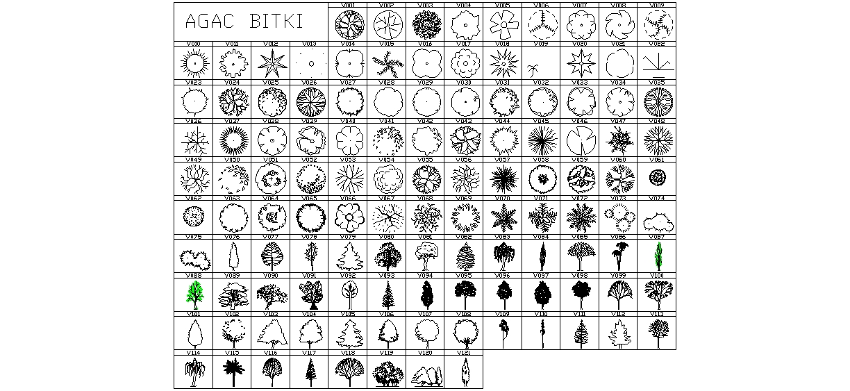 Autocad ağaç bitki arşivi - autocad ağaç bitki tefrişleri - autocad ...